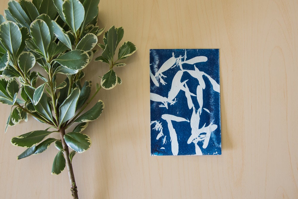 Botanical Mix Original Cyanotypes on Postcards - Etsy