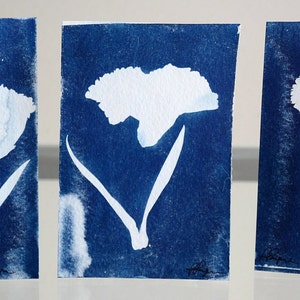 Carnations - Original Cyanotype Art/postcards - Etsy