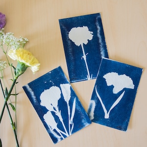 Carnations - Original Cyanotype Art/postcards - Etsy