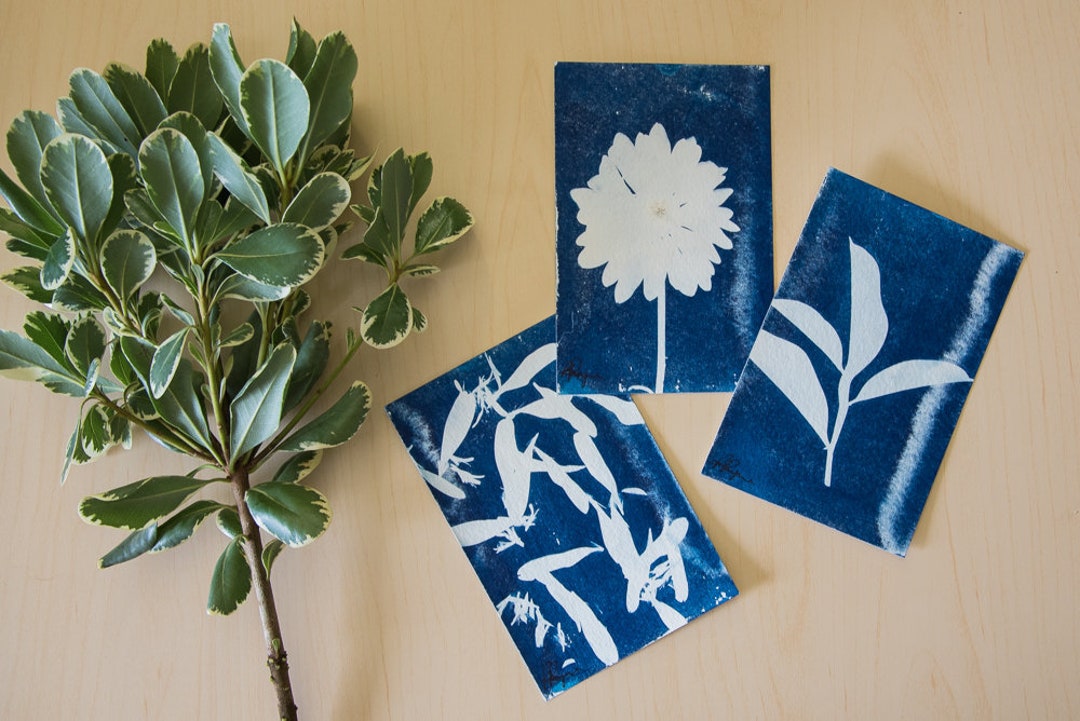 Botanical Mix - Original Cyanotypes on Postcards - Etsy