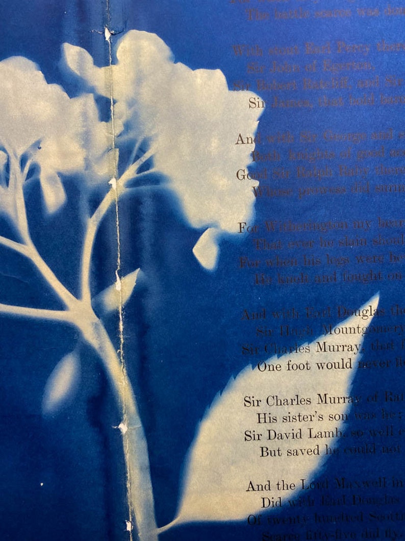 Call to Blooms - Original Cyanotype on Antique Book Pages With ...