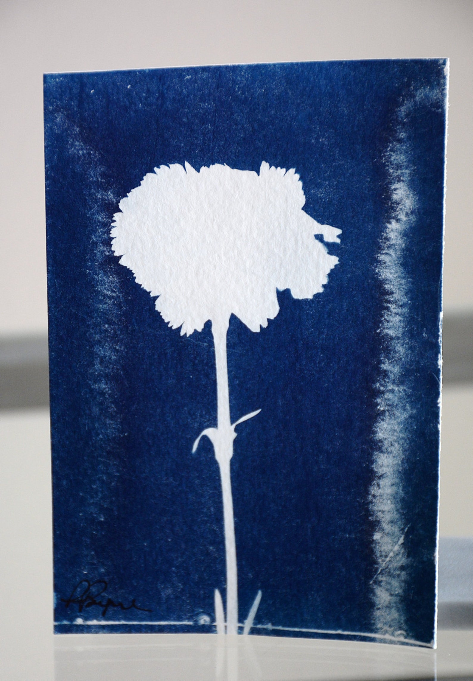 Carnations Original Cyanotype Art/postcards - Etsy