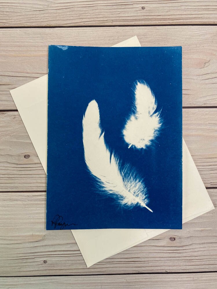 Feathers I - Original Cyanotype Greeting Cards - Etsy