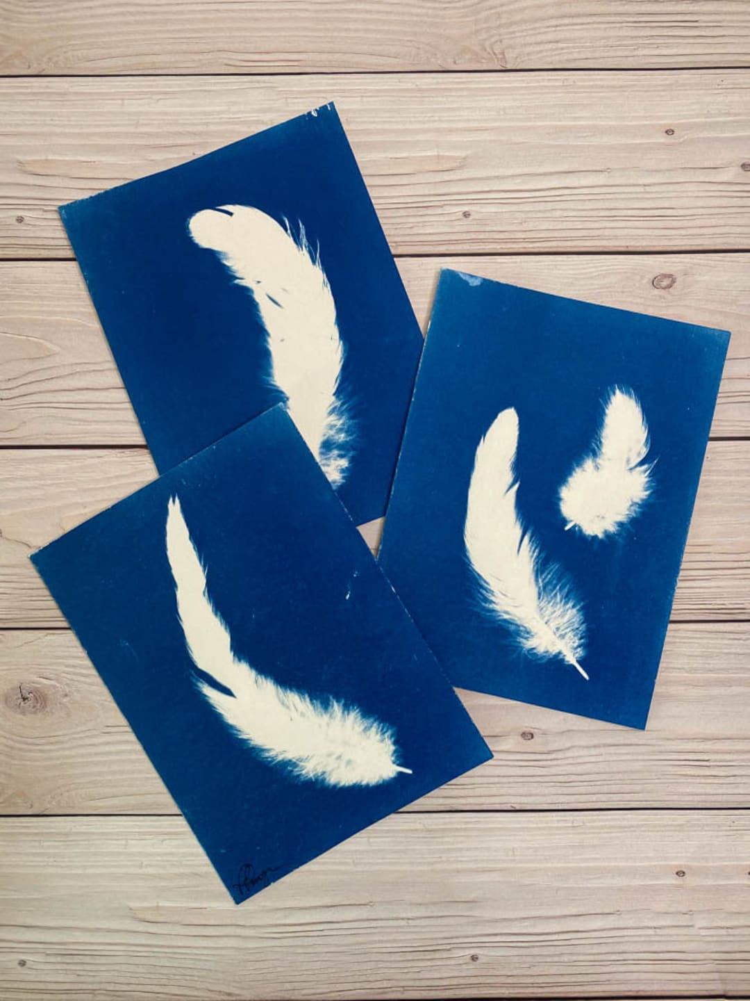 Feathers I - Original Cyanotype Greeting Cards - Etsy