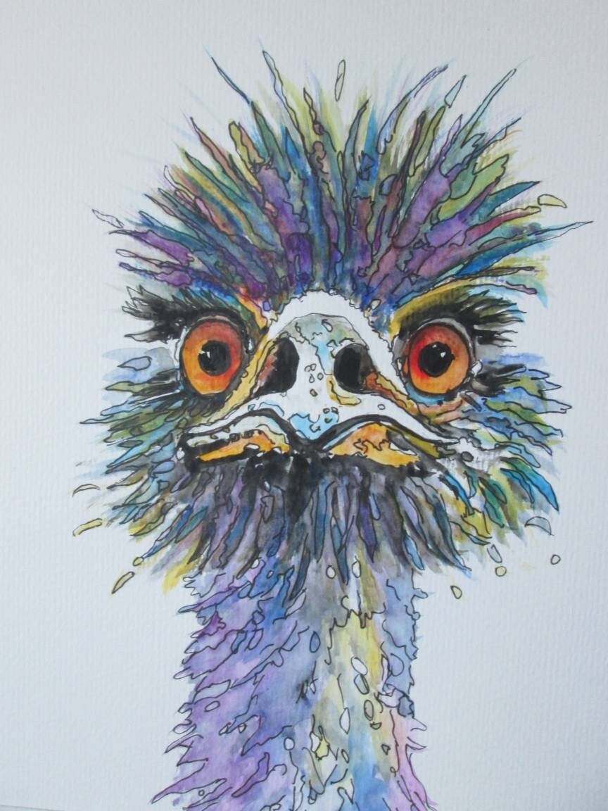 Emu Original Watercolour Painting by Marjansart Emu Bird Art - Etsy UK