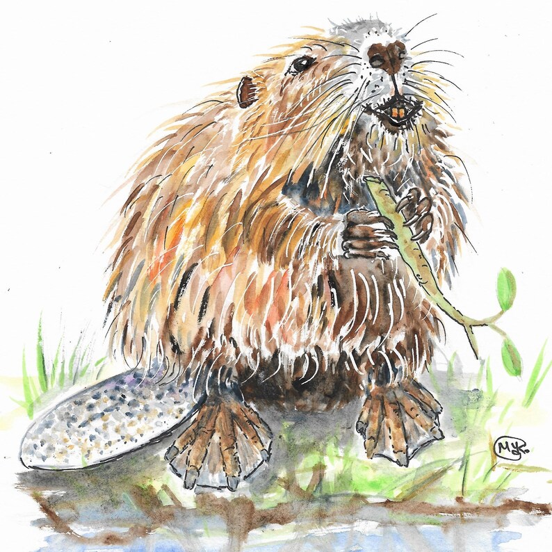 Original baby beaver art cute animal marjansart beaver | Etsy