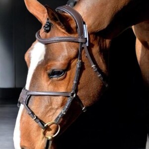 Anatomical Bridle Verity Bit Lifter for Mouthy / Sensitive Horse ...