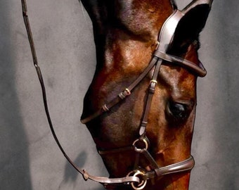 Anatomical Bridle Verity Bit Lifter for Mouthy / Sensitive Horse ...