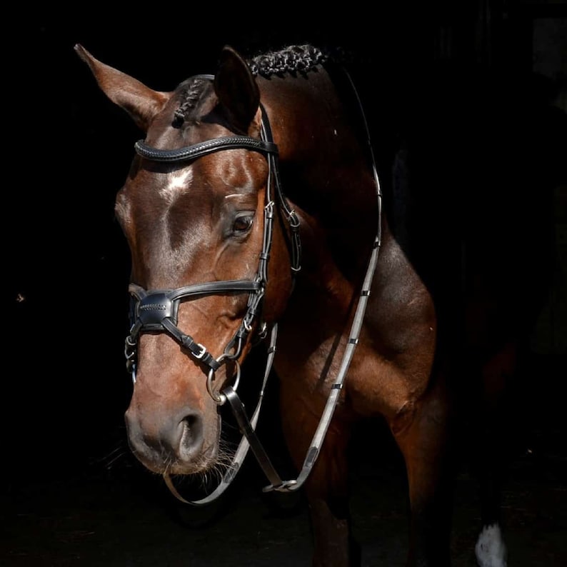 Anatomical Bridle Verity Bit Lifter for Mouthy / Sensitive - Etsy