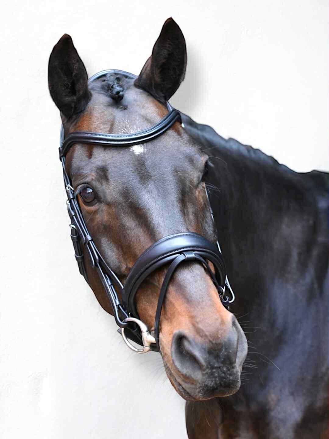 Anatomical Bridle With Dropshaped Noseband - Italian Natural Tanned ...