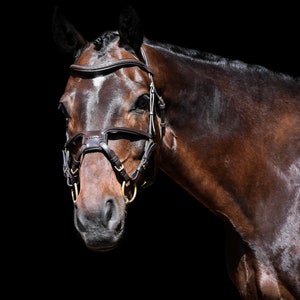 Anatomical Bridle Verity Bit Lifter for Mouthy / Sensitive Horse ...