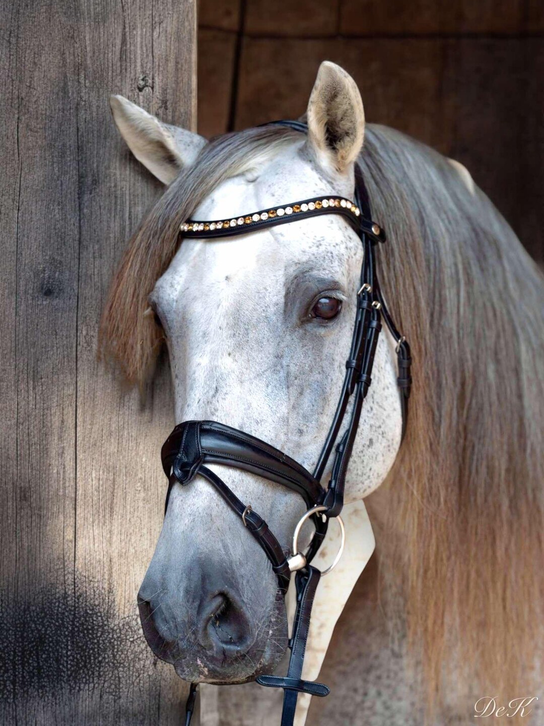Anatomical Bridle With Gatsby Quick Snap Browband Natural Tanned ...