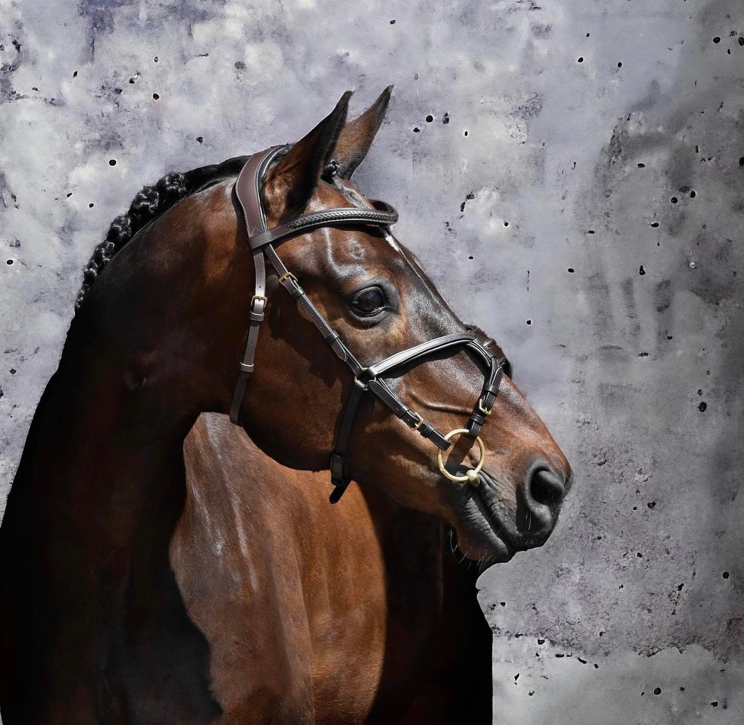 Anatomical Bridle Verity Bit Lifter for Mouthy / Sensitive Horse ...