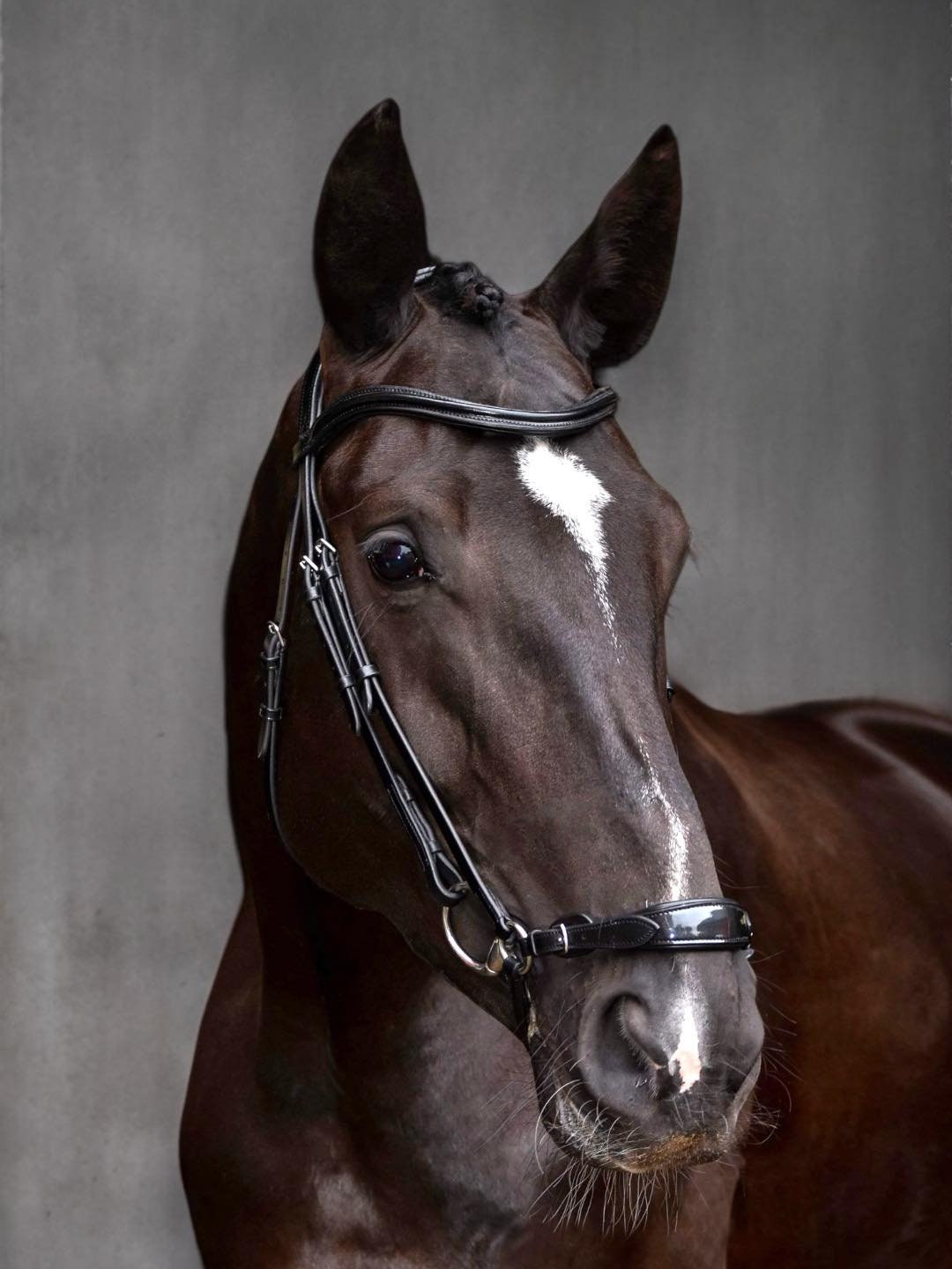 German Drop Bridle in Natural Tanned Leather - Etsy