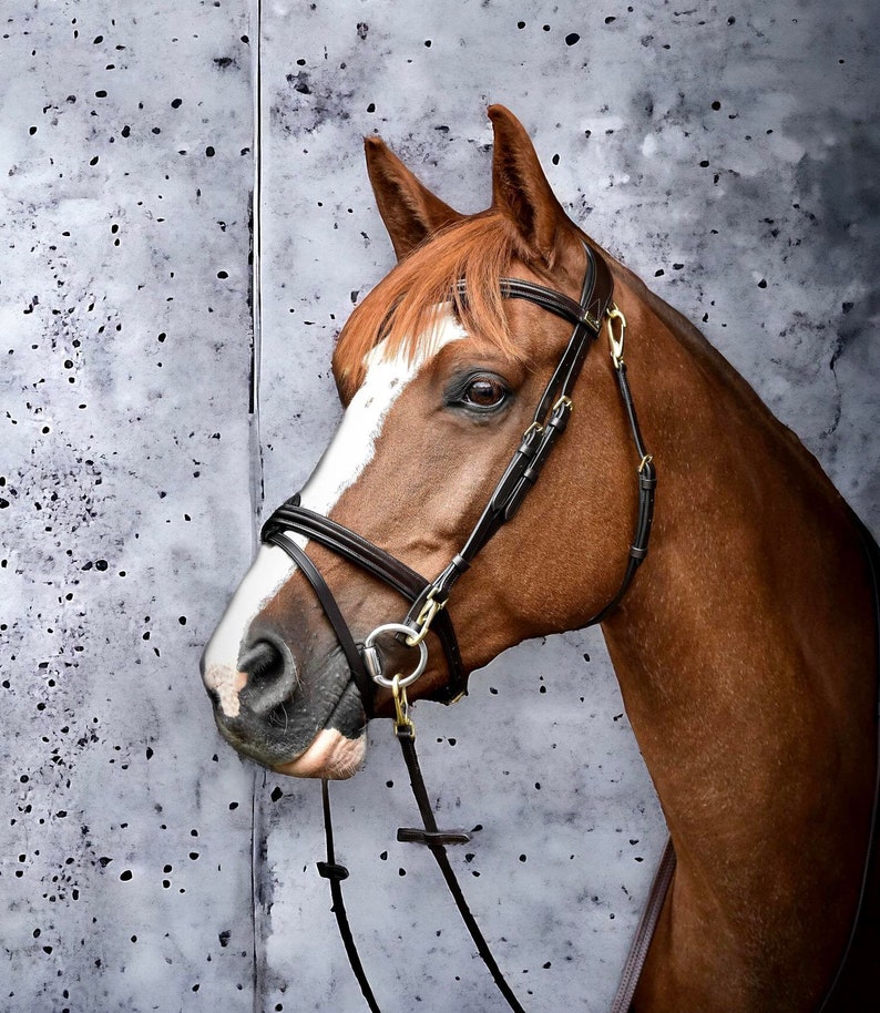 Jumping Bridle With Quick Snap - Etsy