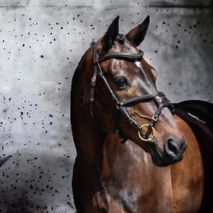 Anatomical Bridle Verity Bit Lifter for Mouthy / Sensitive Horse ...