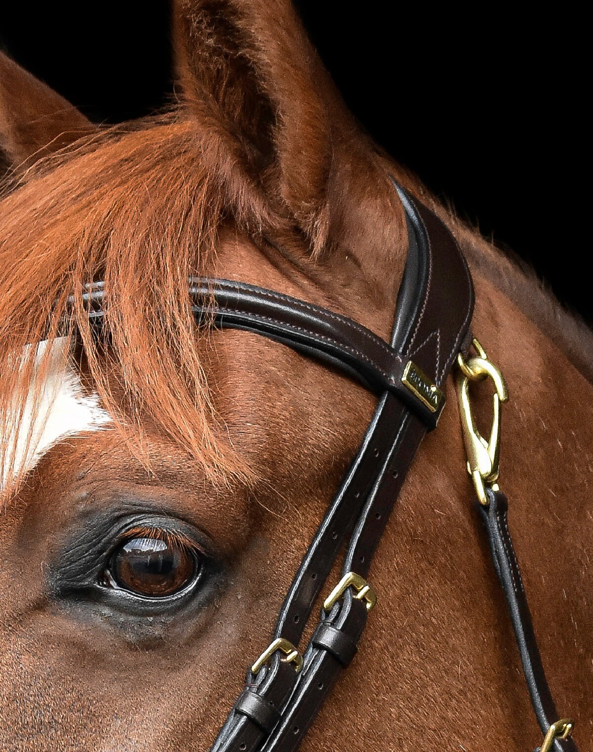 Jumping Bridle With Quick Snap - Etsy