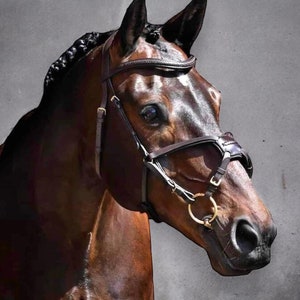 Anatomical Bridle - Verity Bit Lifter for Mouthy / Sensitive Horse ...