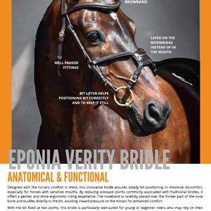 Anatomical Bridle - Verity Bit Lifter for Mouthy / Sensitive Horse ...