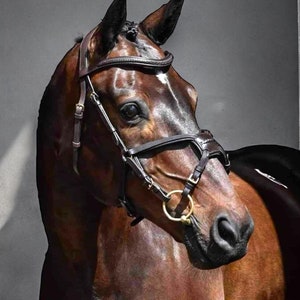 Anatomical Bridle - Verity Bit Lifter for Mouthy / Sensitive Horse ...