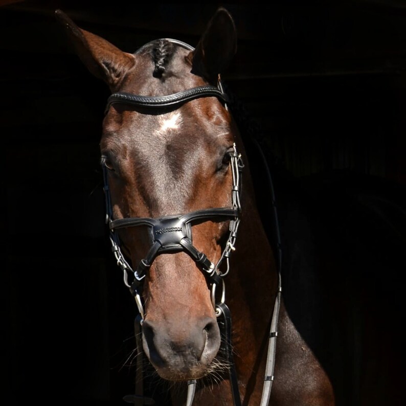 Anatomical Bridle Verity Bit Lifter for Mouthy / Sensitive - Etsy