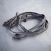 Anatomical Bridle - Verity Bit Lifter for Mouthy / Sensitive Horse ...