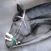 Anatomical Bridle - Verity Bit Lifter for Mouthy / Sensitive Horse ...