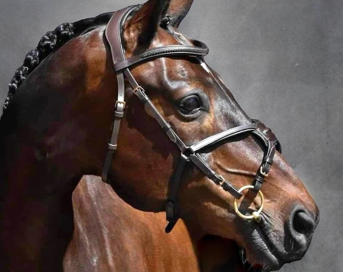 Anatomical Bridle - Verity Bit Lifter for Mouthy / Sensitive Horse ...