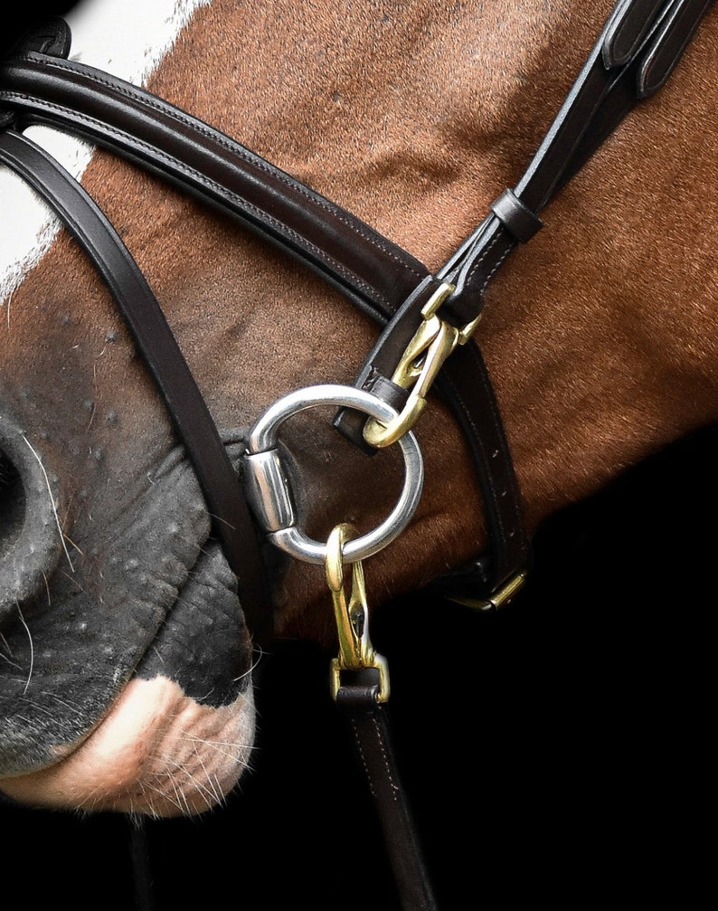 Jumping Bridle With Quick Snap - Etsy
