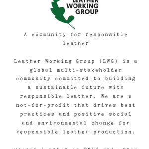 Anatomical Bridle - Verity Bit Lifter for Mouthy / Sensitive Horse ...