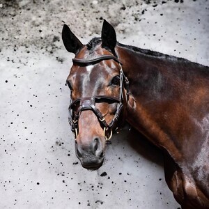 Anatomical Bridle Verity Bit Lifter for Mouthy / Sensitive Horse ...