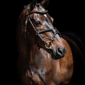 Anatomical Bridle Verity Bit Lifter for Mouthy / Sensitive Horse ...