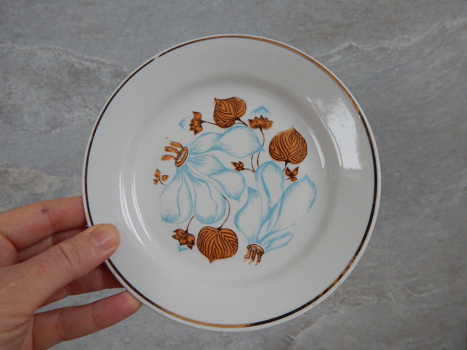 Riga Porcelain Factory Collectible Cake Plate Vintage Plate | Etsy