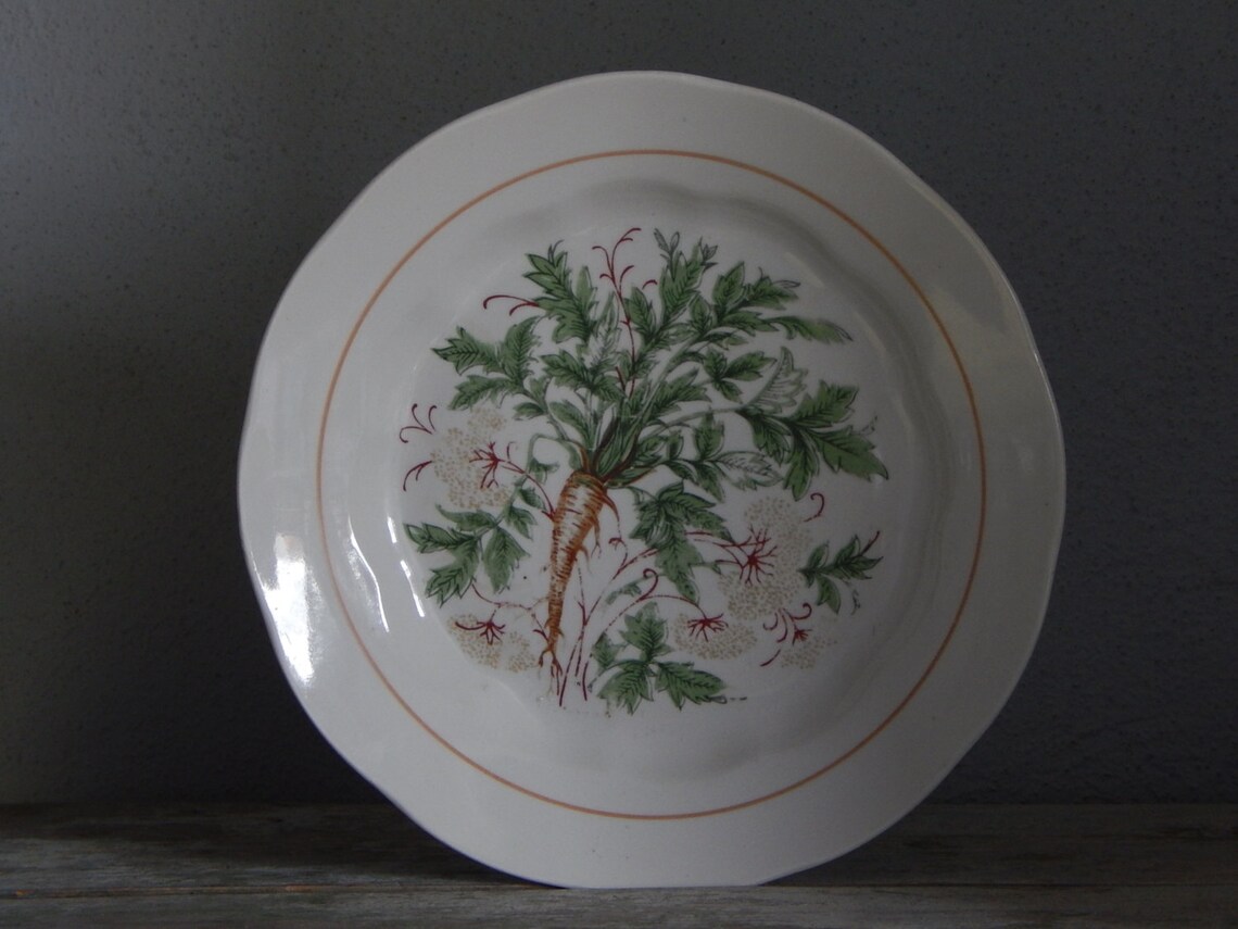 Riga Porcelain Factory Collectible Vintage Decorative Plate - Etsy