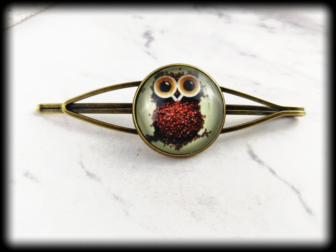 Hair Slide Owl Art Hair Clips for Women Beauty Owl Design Hair - Etsy
