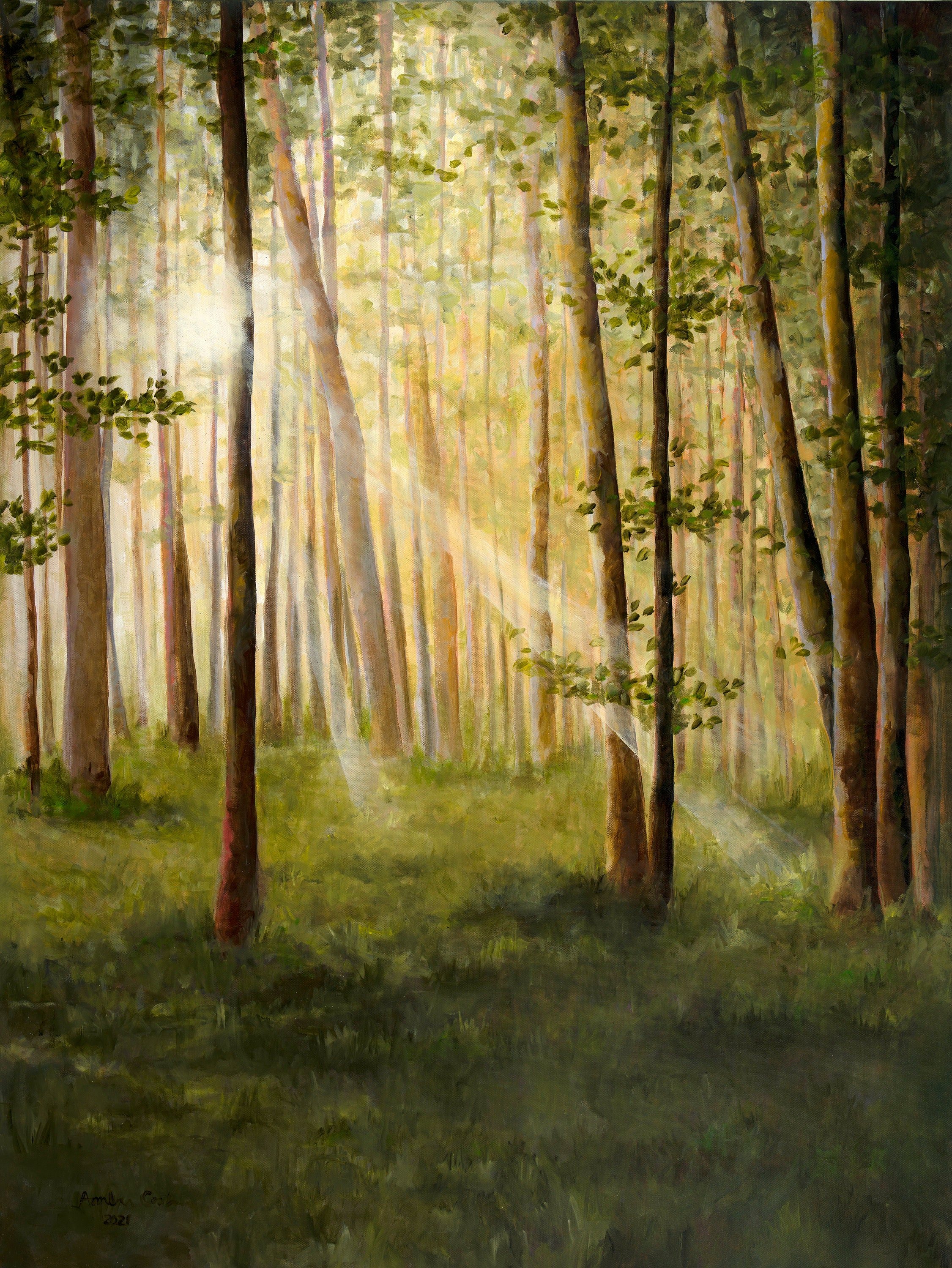 Sacred Grove - Etsy