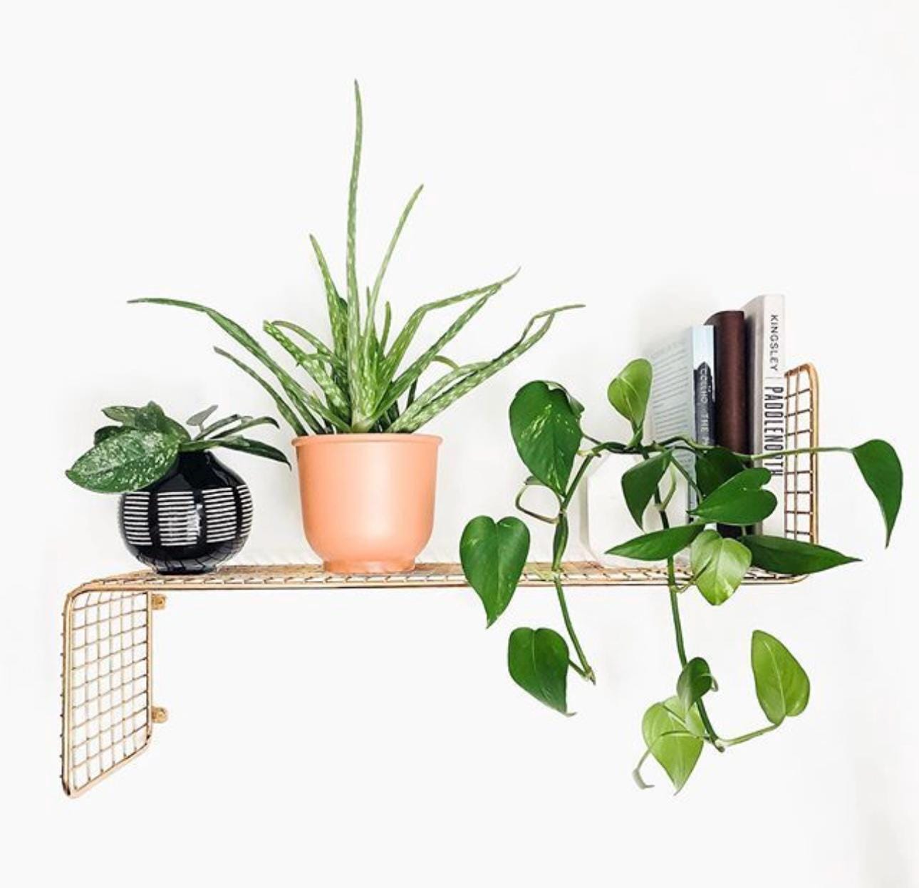 Vintage Ikea Svenhult Industrial Wall Shelf Niels Gammelgaard Style 60s ...