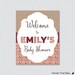Shabby Chic Baby Shower Welcome Sign Printable Personalized - Etsy