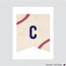 Printable Baseball Baby Shower Banner - Vintage Baseball Shower Decor ...
