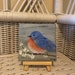 Bluebird in Spring - Etsy