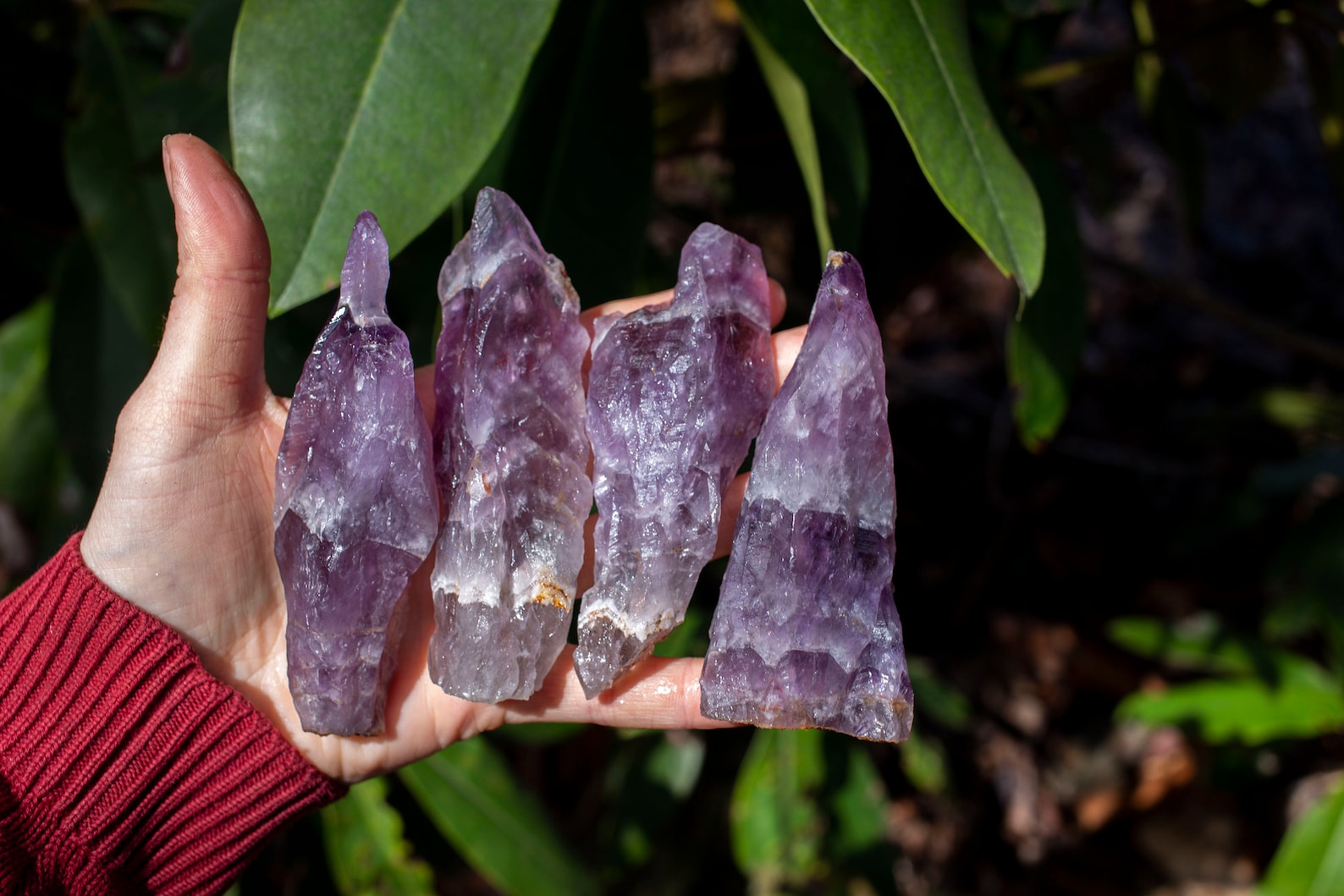 Auralite-23 Crystals canadian Chevron Amethyst: SINGLE Palm - Etsy