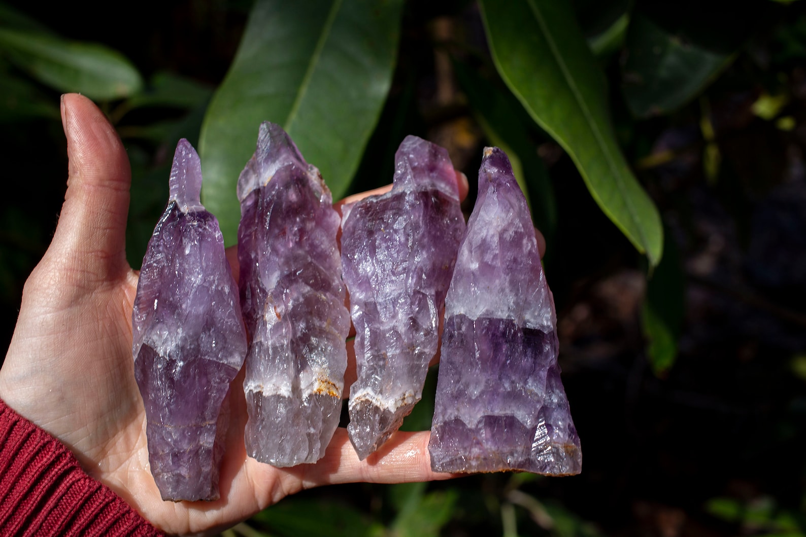 Auralite-23 Crystals canadian Chevron Amethyst: SINGLE Palm - Etsy