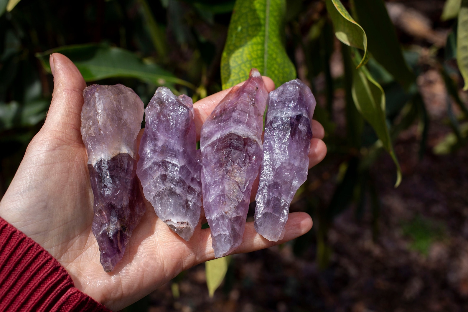 Auralite-23 Crystals canadian Chevron Amethyst: SINGLE Palm - Etsy