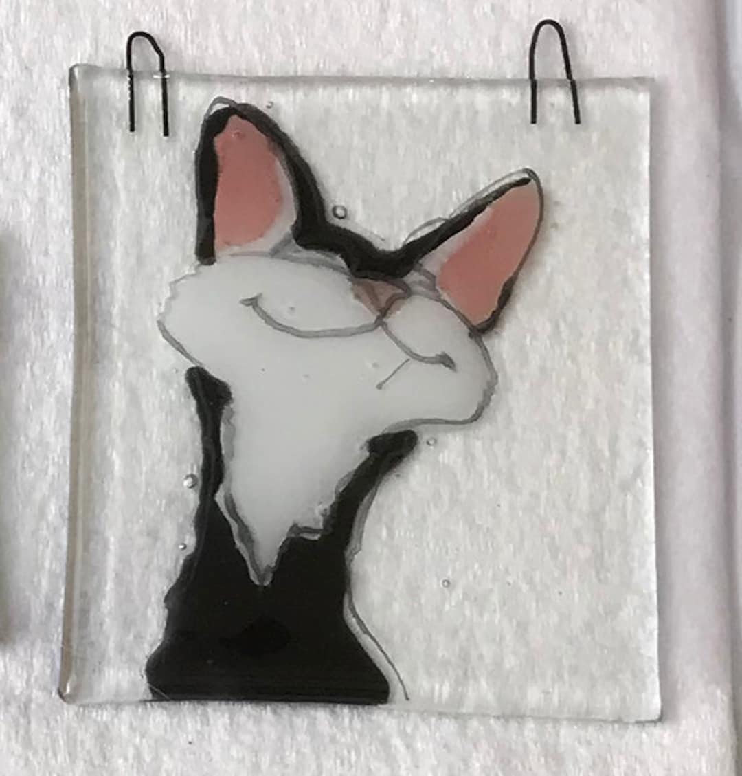 Smug Kitty, Tuxedo Cat, Black & White Cat, Suncatchers, Window ...