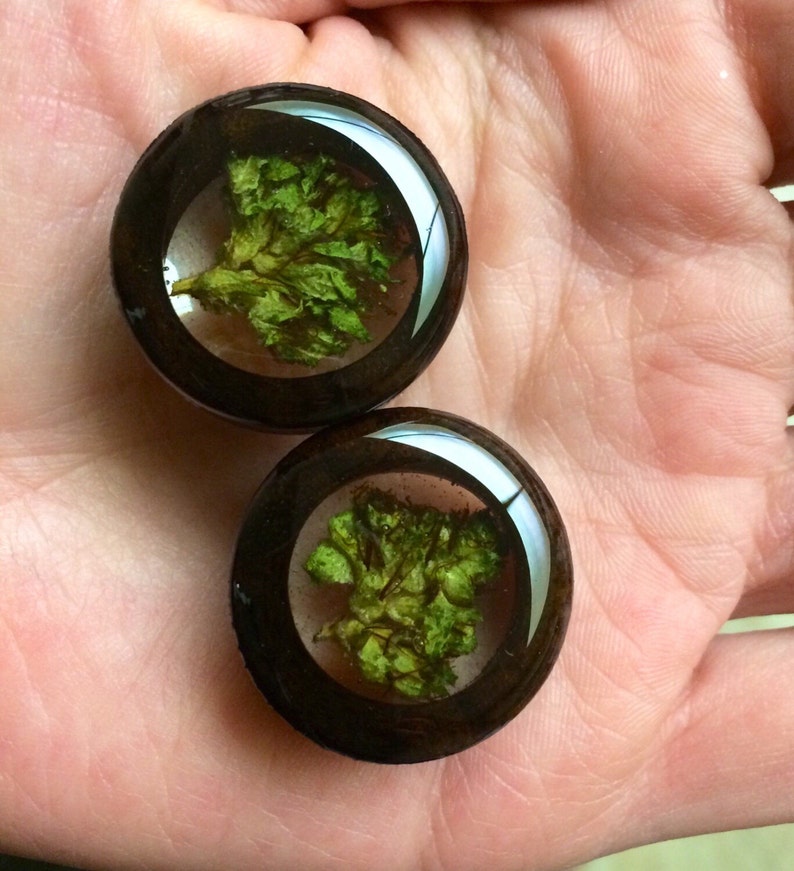 Weed Plugs Organic Wood Cannabis Filled Plugs Weed Gifts Weed Etsy Weed Plugs Organic Wood Cannabis Filled Plugs Weed Gifts Weed Etsy