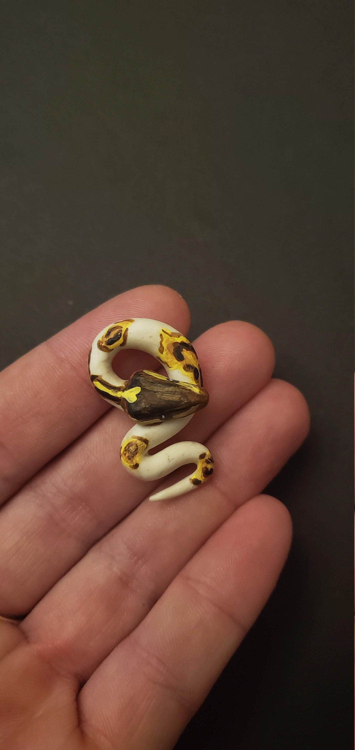 Snake Necklace Pied Ball Python - Etsy