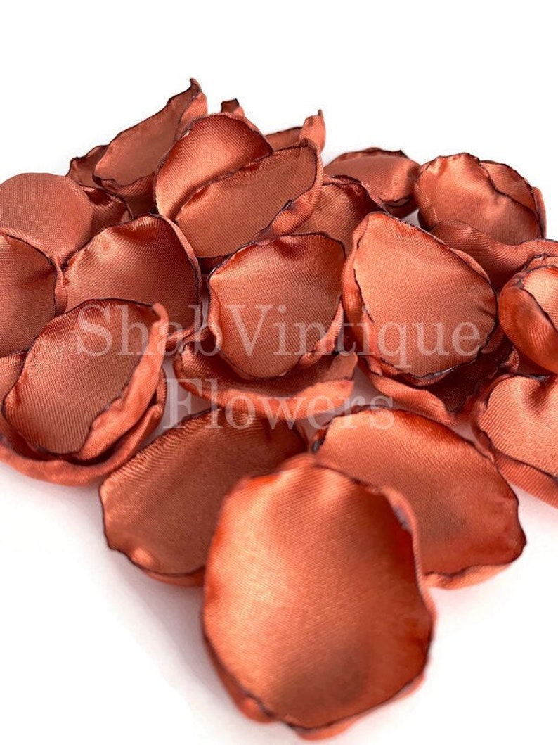 Wedding Decor, Terracotta Flower Petals, Flower Girl Petals, Fall ...