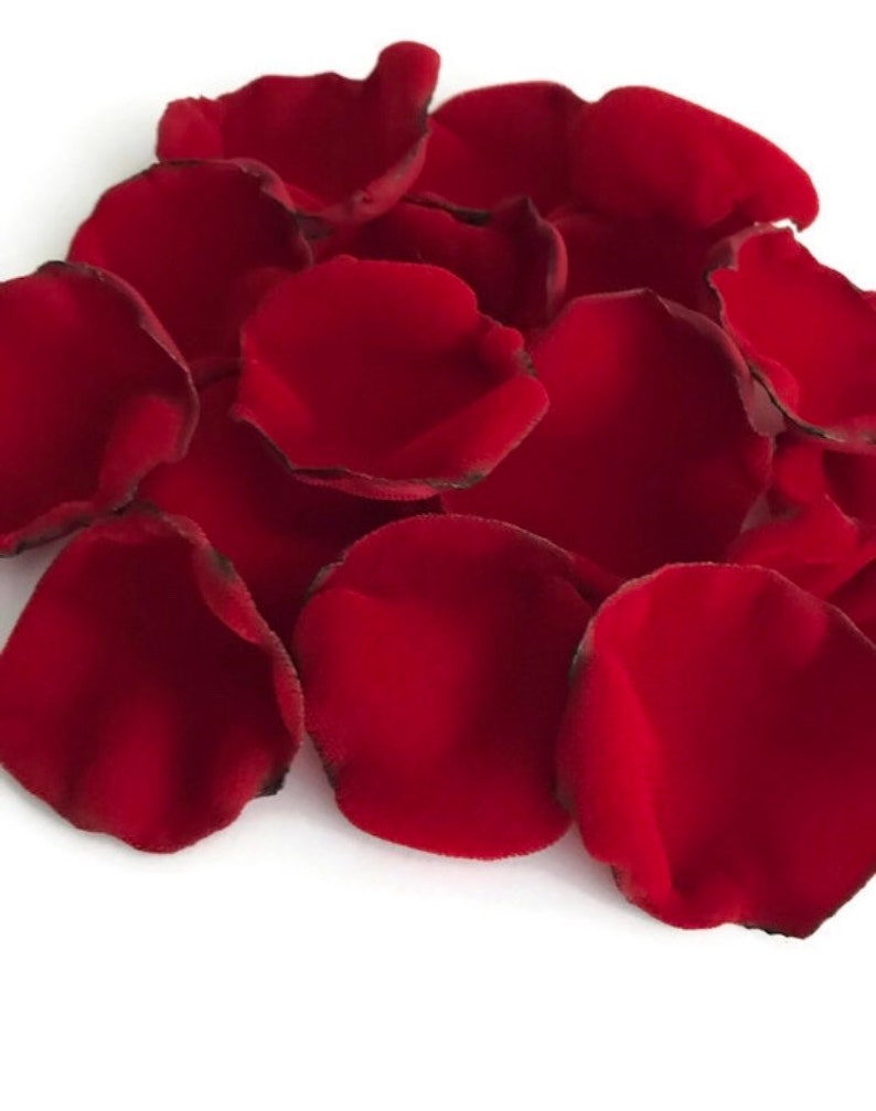 Red Velvet Flower Petals Flower Girl Petals Winter Wedding - Etsy
