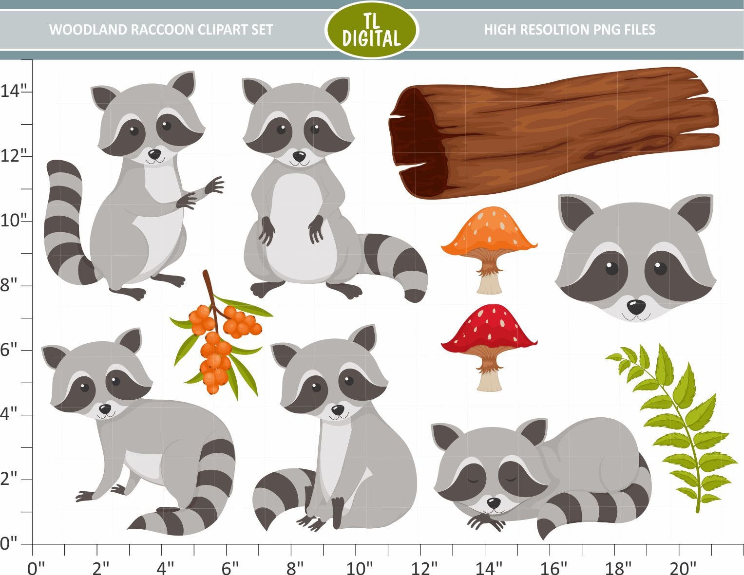 Woodland Raccoon Clipart Set Animal Clipart Woodland - Etsy