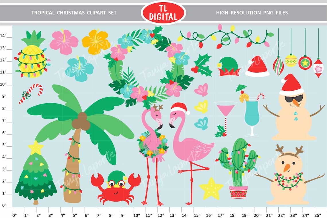 Tropical Christmas Clipart Set 28 Illustrations High | Etsy